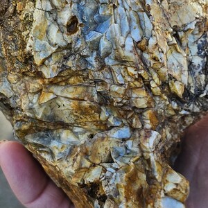 Nethers Farm FLINT RIDGE OHIO Chert Flint Crystal Specimen - Etsy