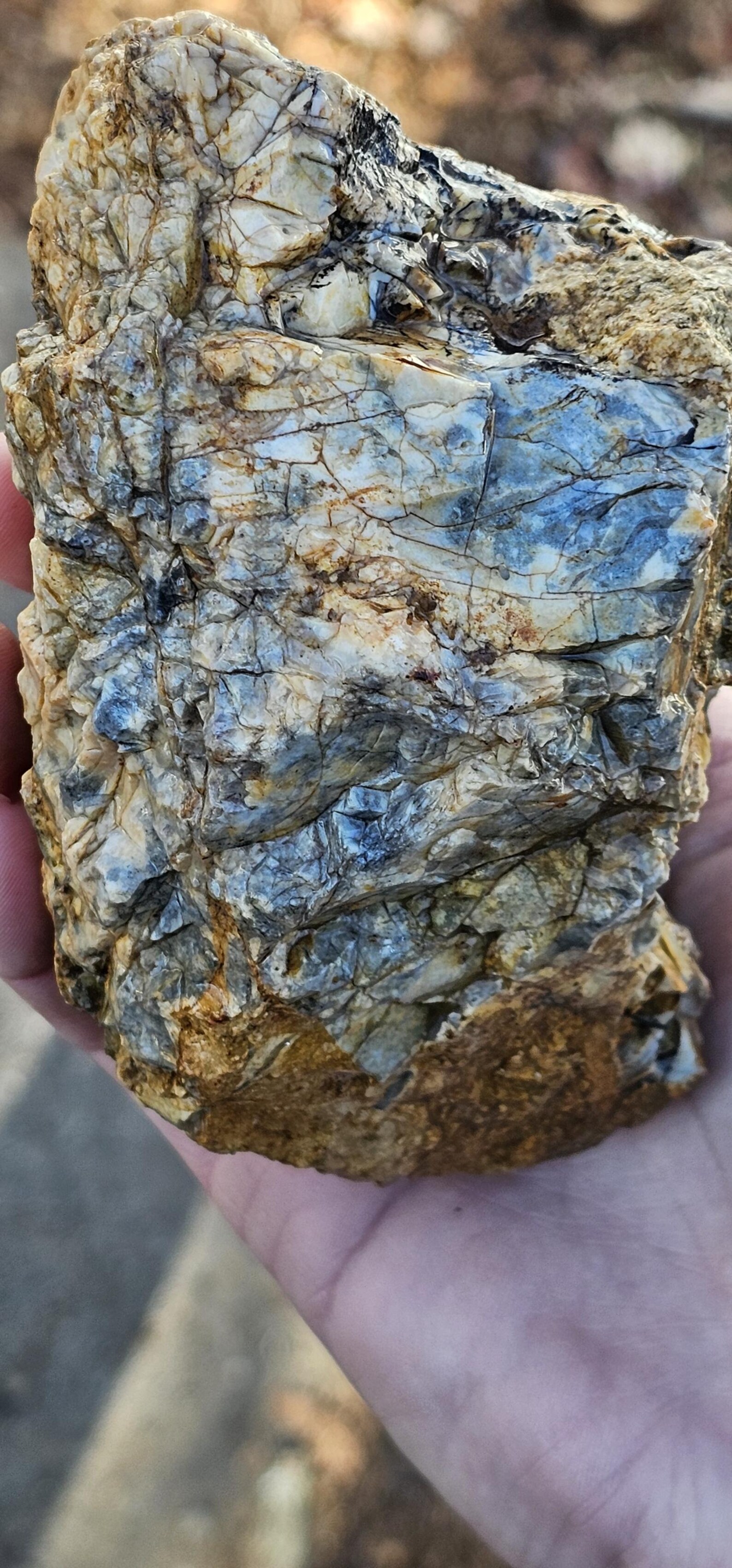 Nethers Farm FLINT RIDGE OHIO Chert Flint Crystal Specimen - Etsy