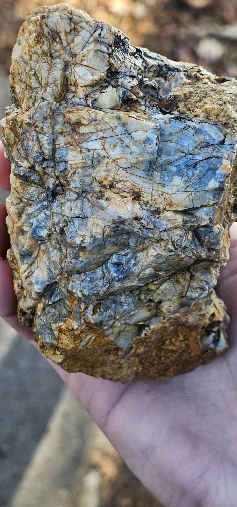 Nethers Farm FLINT RIDGE OHIO Chert Flint Crystal Specimen - Etsy