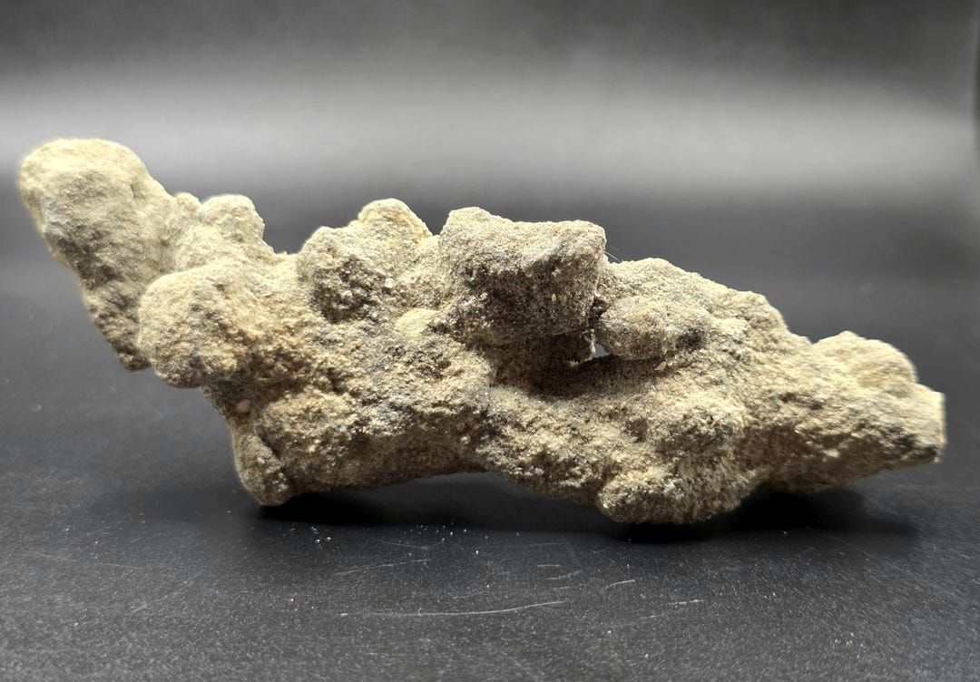 Figural Coquina Concretion | Sand Calcite With Fossil Shells - Ruck's ...