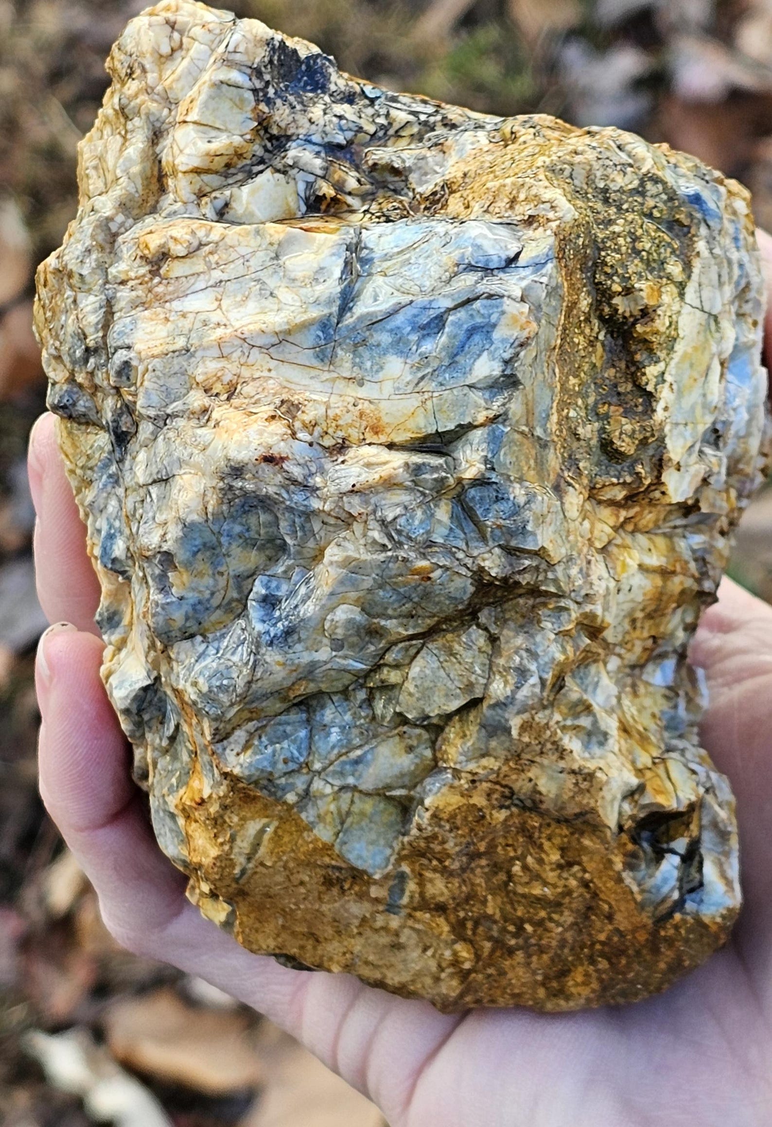 Nethers Farm FLINT RIDGE OHIO Chert Flint Crystal Specimen - Etsy