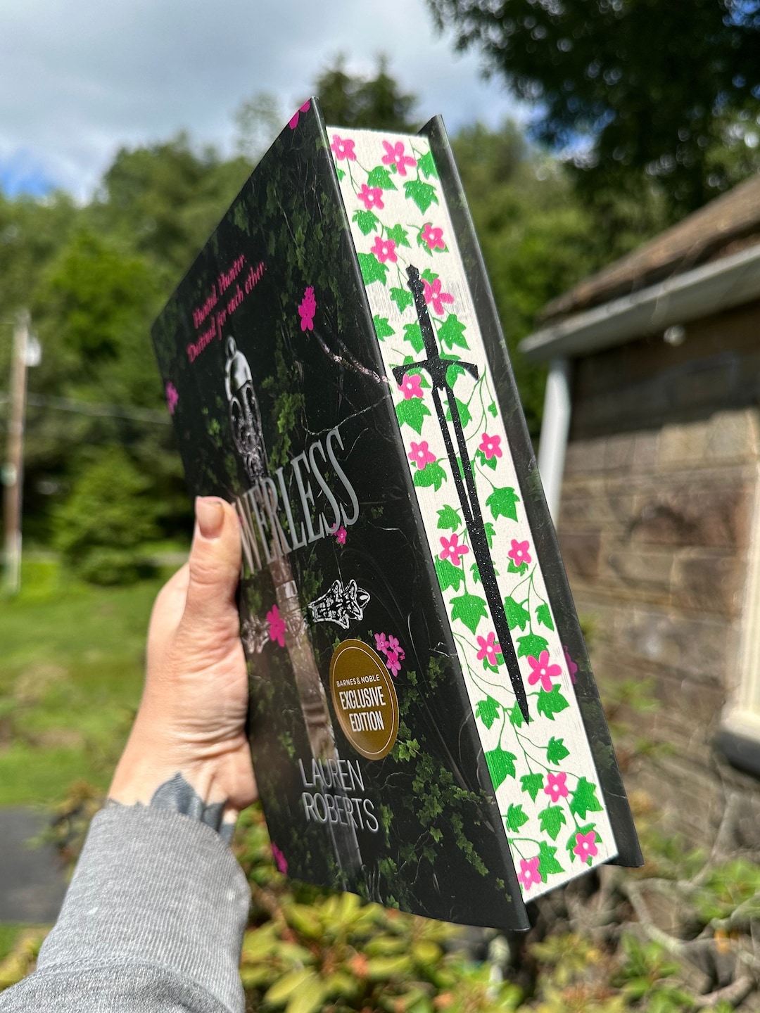 Powerless by Lauren Roberts Barnes and Noble Special Edition Custom ...