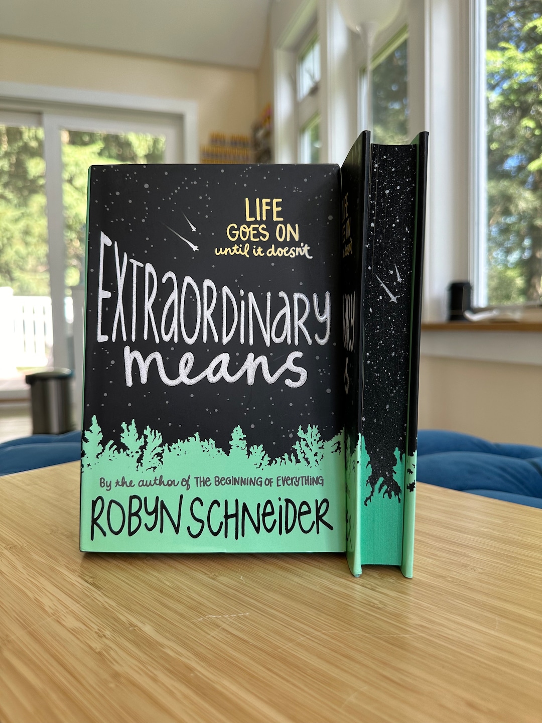 Extraordinary Means by Robyn Schneider- Custom Stenciled Sprayed ...