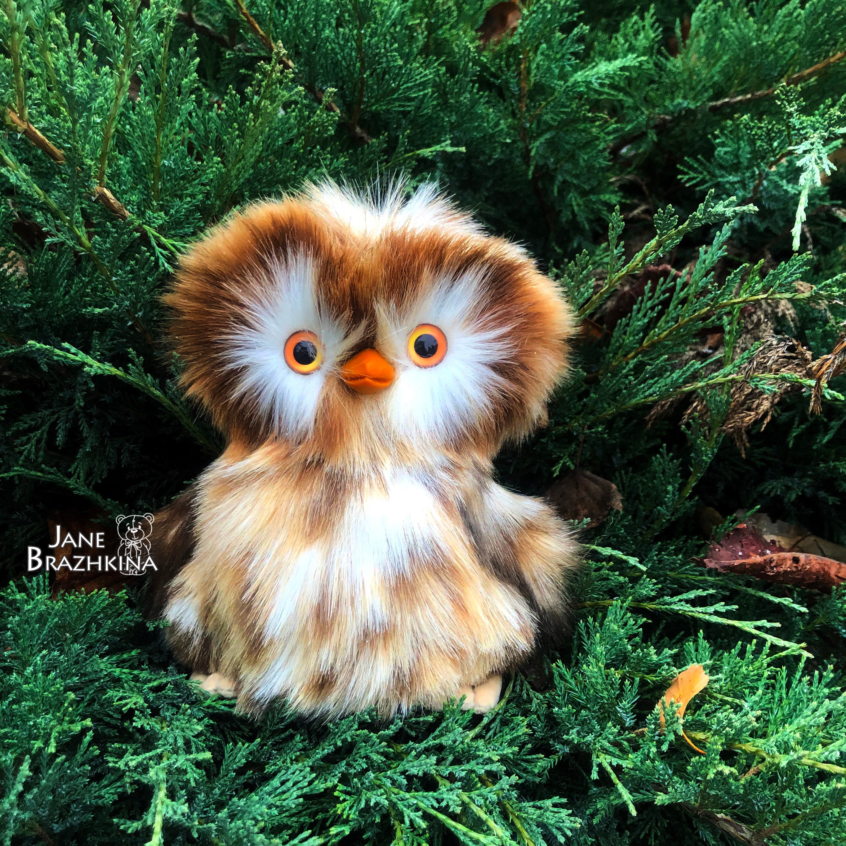 Cute Fluffy Baby Owls