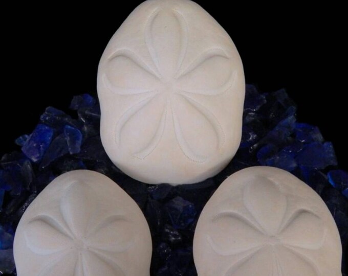 2 Pc. Giant Sea Biscuits I White Sea Biscuit I Craft Shells I ...