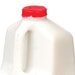 Miniature Gallon of Milk Dollhouse Bottle of Milk I - Etsy