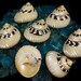 Polished Ribbed Pica I Hermit Crab Shell I Black and White Polished ...