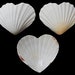 Heart Shape Scallop Shell I Semi-white Irish Baking Clam | Etsy