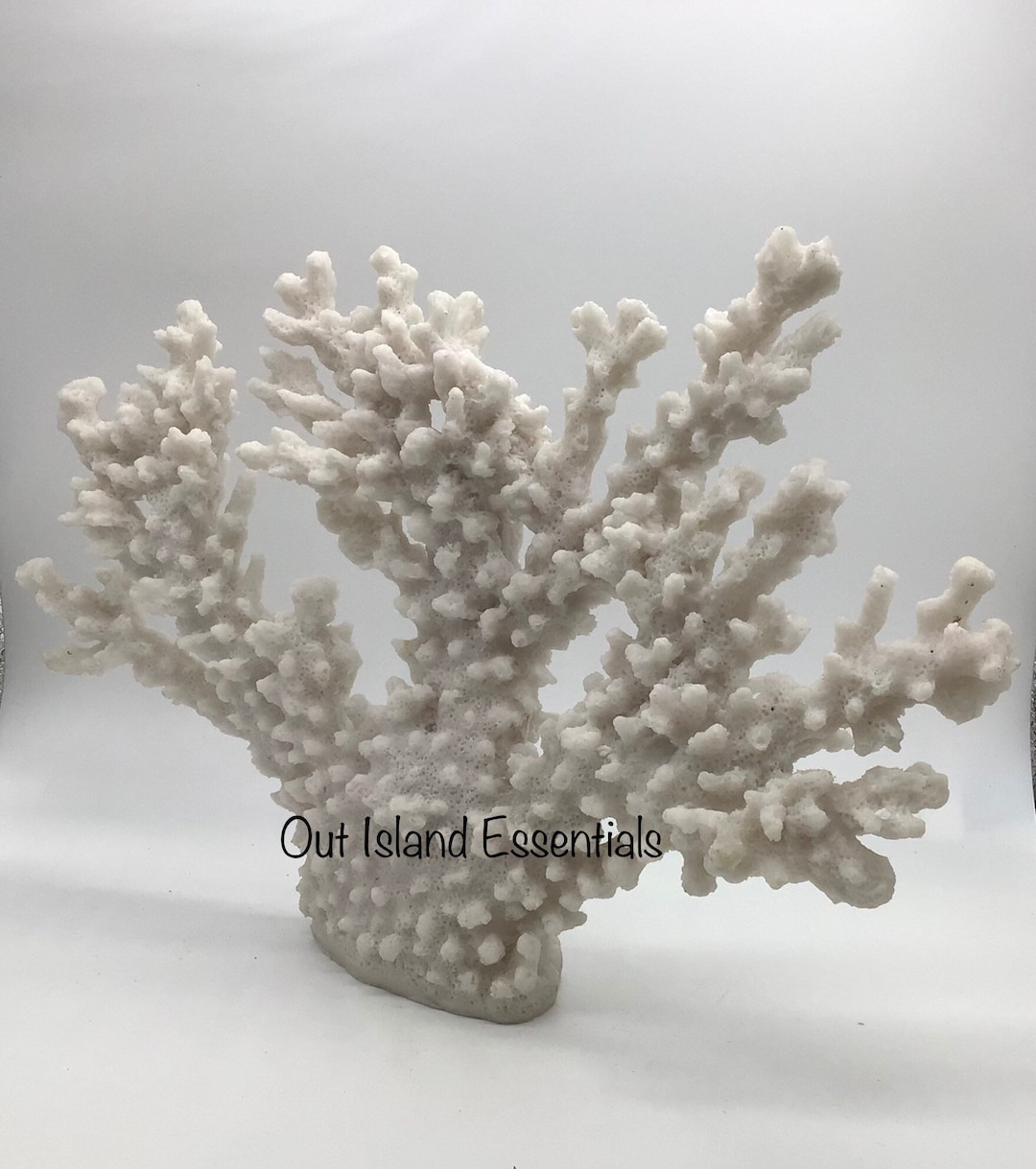 13" Faux Coral Display | White Coral Centerpiece I Coral Decoration ...