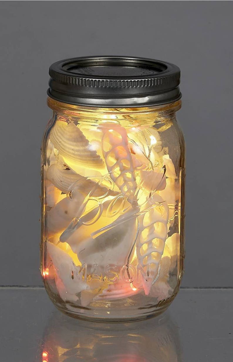 Seashell Light Handmade Shell Light Shell Night Light All - Etsy