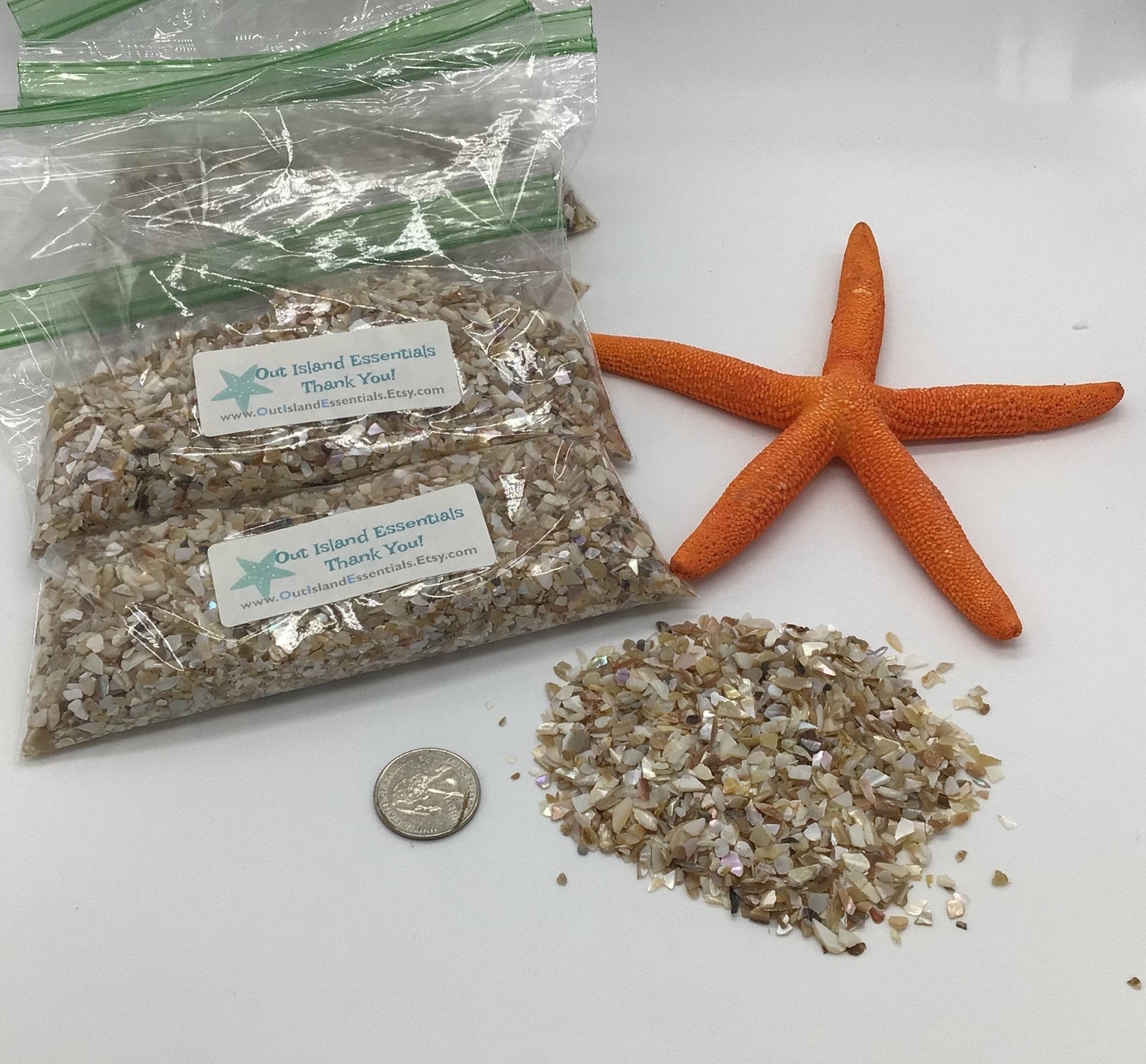 1 Cup Crushed Abalone Shells I Crushed Shells I Crushed Craft Shells ...