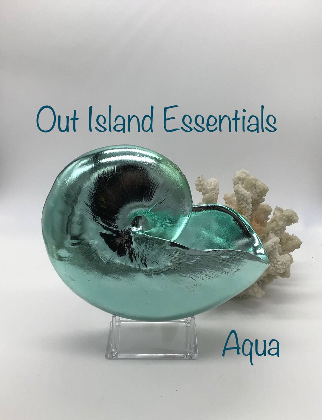 7.5" Faux Electroplated Nautilus Shell - Coastal Decor - Etsy