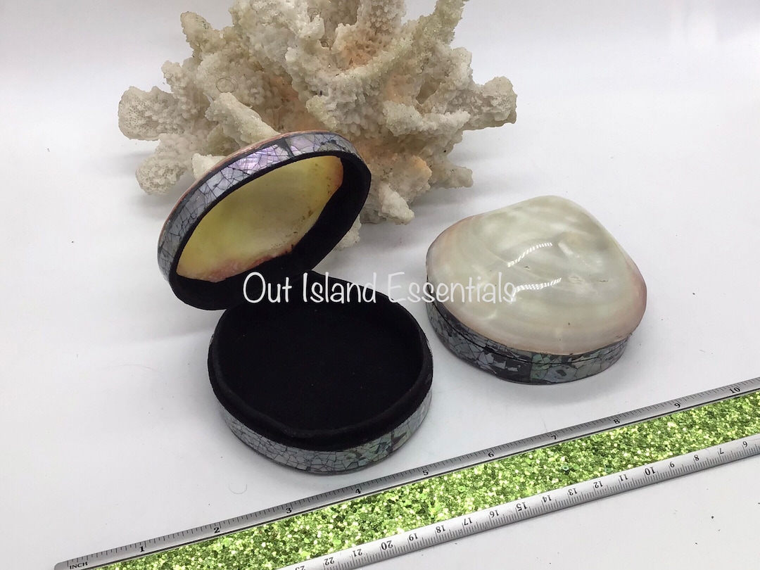 Seashell Jewelry Box I Seashell Pill Box I Seashell Ring Holder I Shell ...