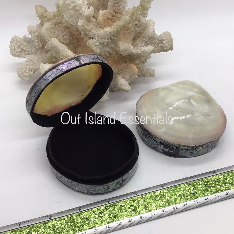 Shell Pill Box - Etsy