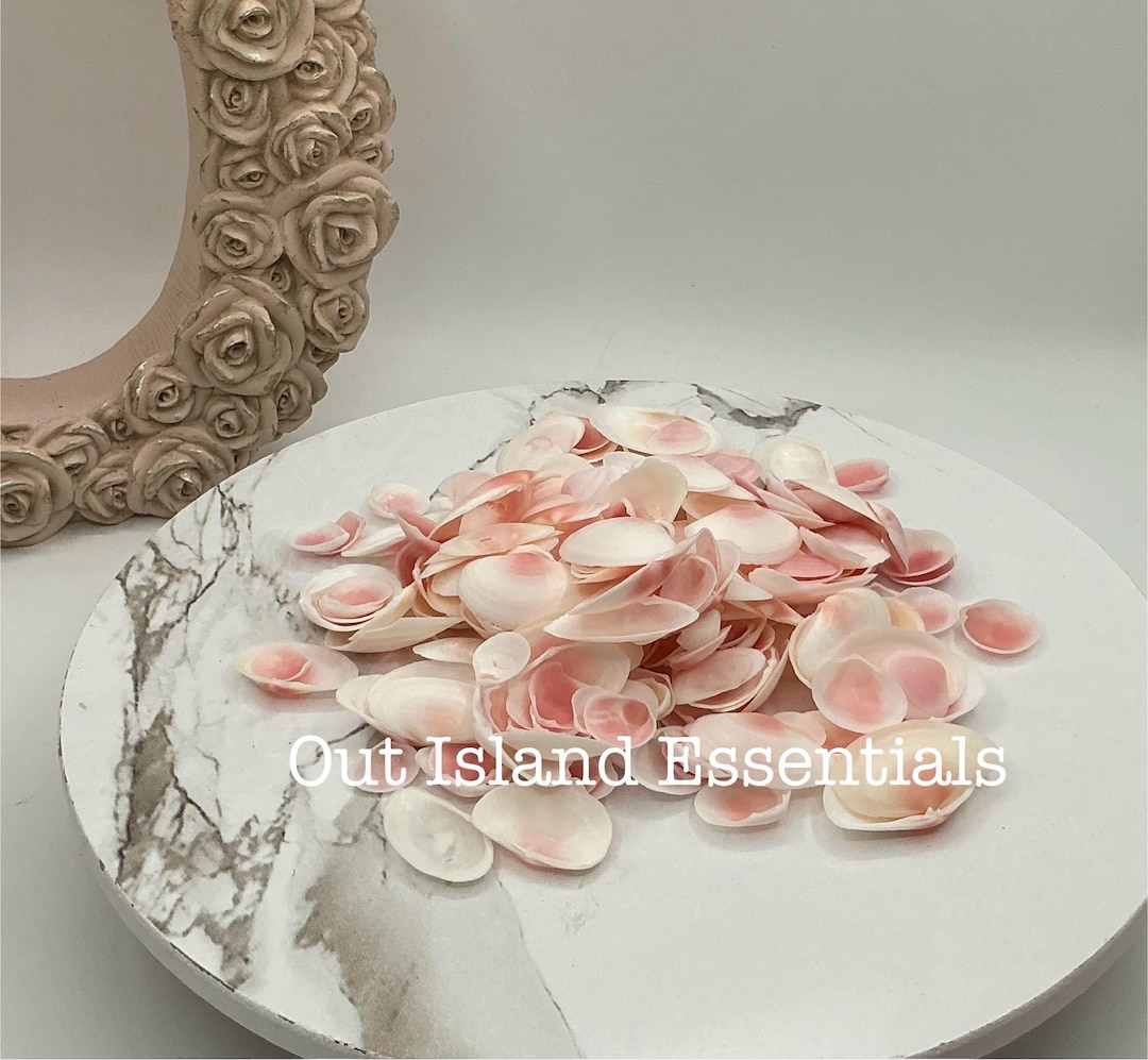 Rose Cup Seashells I One Cup Small Craft Seashells I Pink Wedding ...