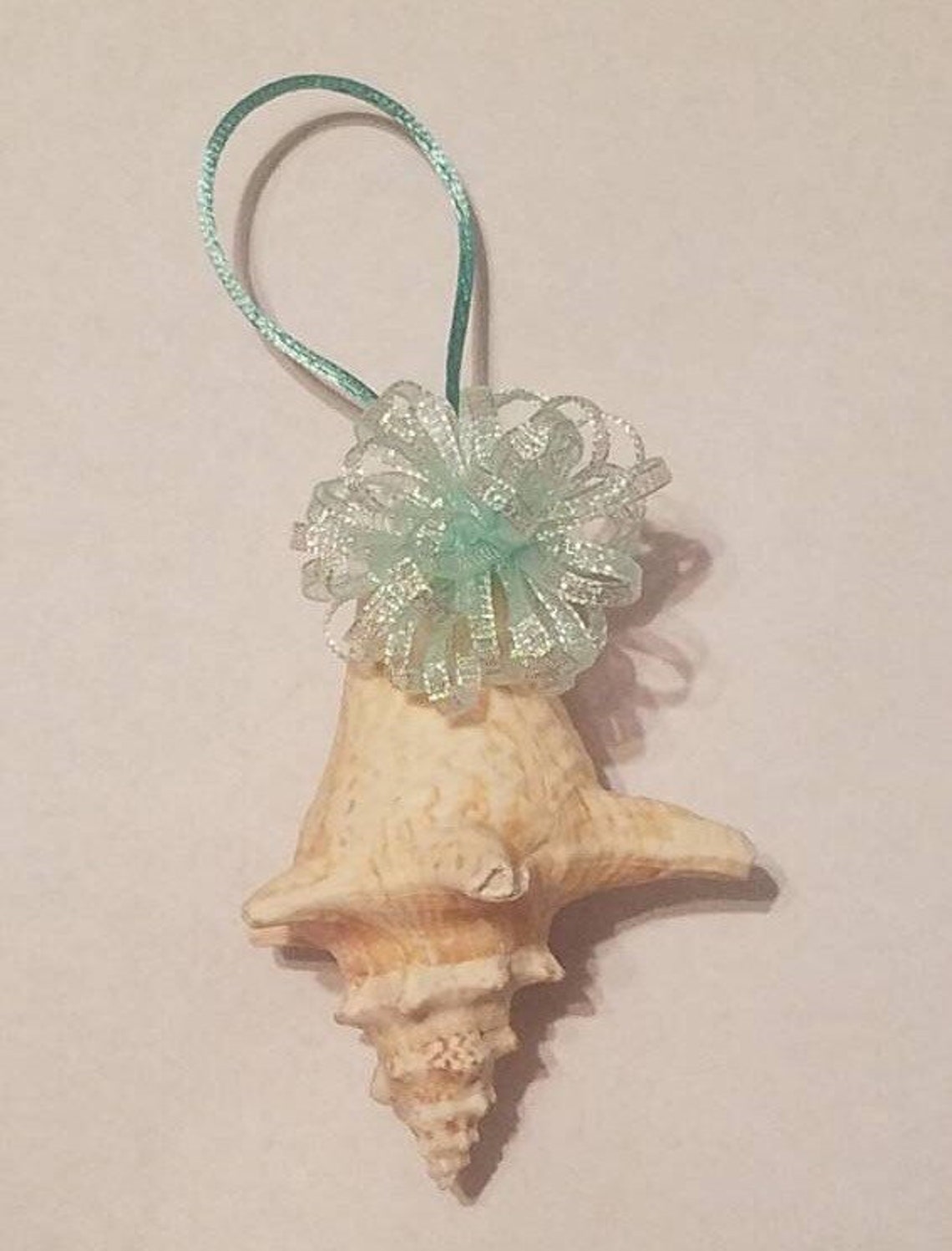 Mini Conch Shell Christmas Ornament I Seashell Christmas - Etsy