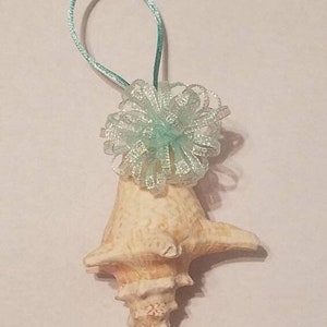 Mini Conch Shell Christmas Ornament I Seashell Christmas Ornament I ...