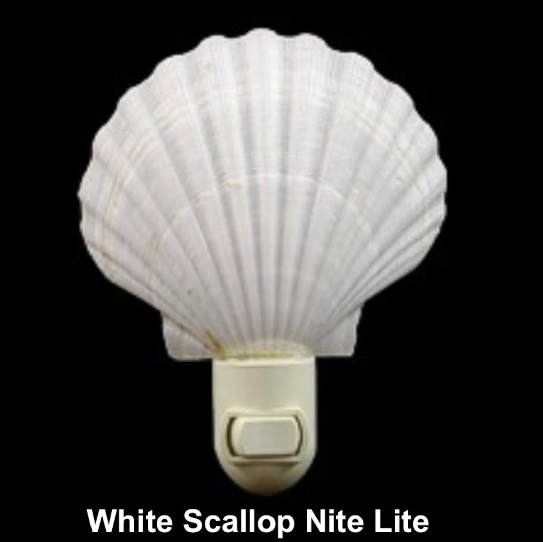 Night Lighti Nursery Light I Seashell Night Light I Night Light I Shell ...