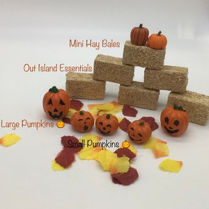 Harvest Dollhouse Miniatures I Fall Minis | 1:12 Scale Fall Miniatures ...