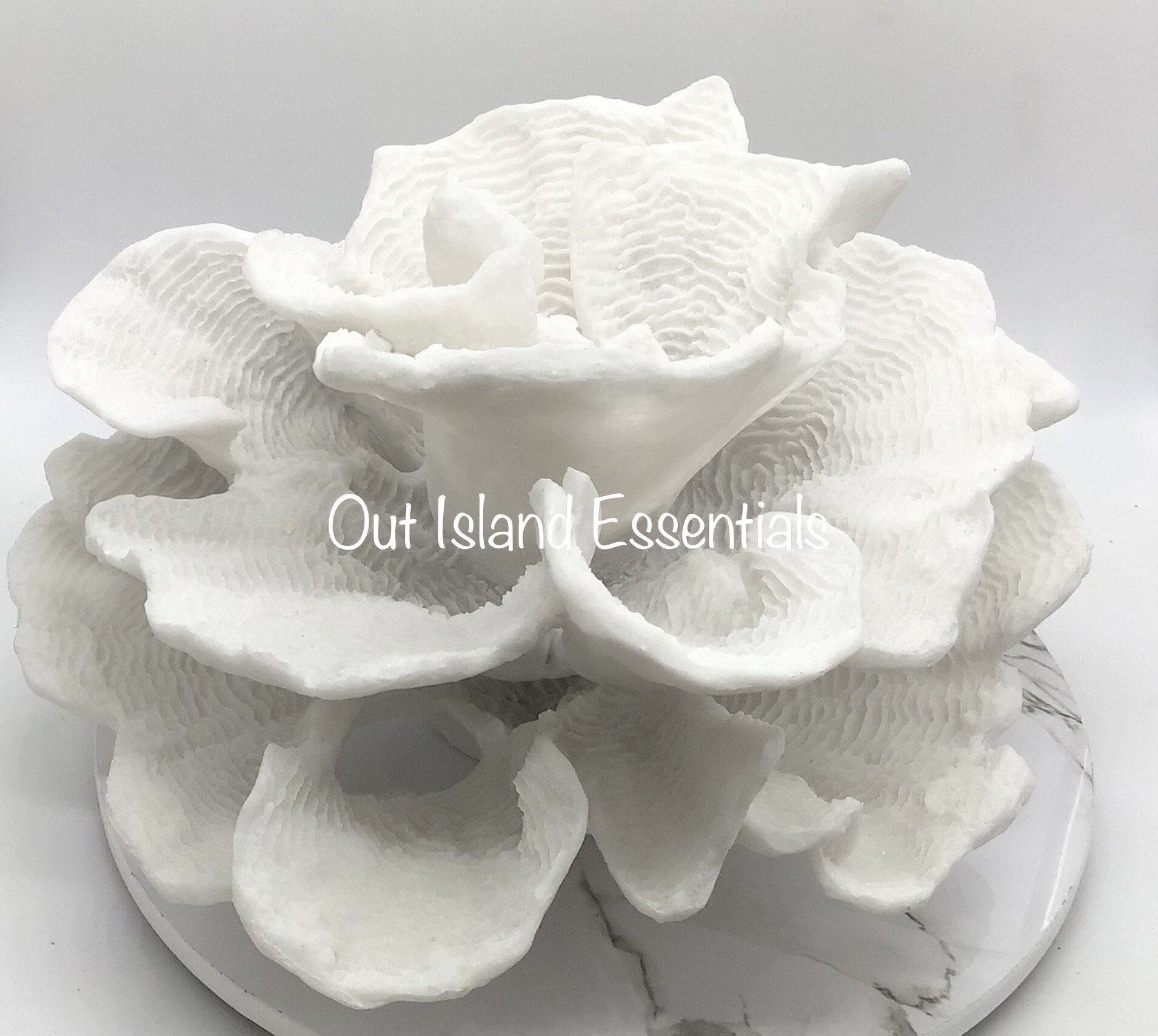 Faux Cup Coral Display | Coral Decoration | Eco Friendly Coral ...