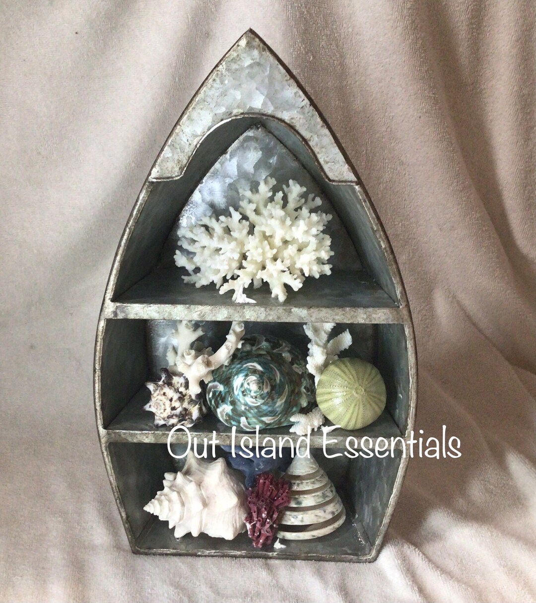 Coastal Wall Decor | Coastal Beach Decor | Real Coral & Seashells ...