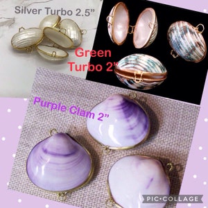 One Seashell Coin Purse | Seashell Pill Box | Seashell Ring Holder I ...