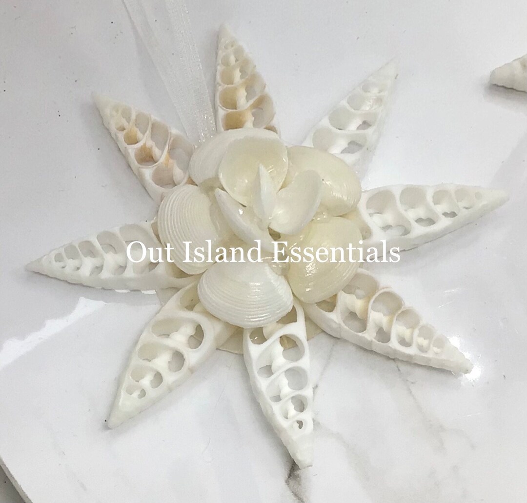 NEW White Star Seashell Ornament | Seashell Snowflake | Seashell ...