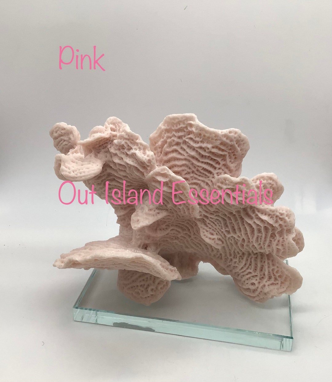 Faux Rugosa Coral Display Coral Decoration Eco Friendly - Etsy