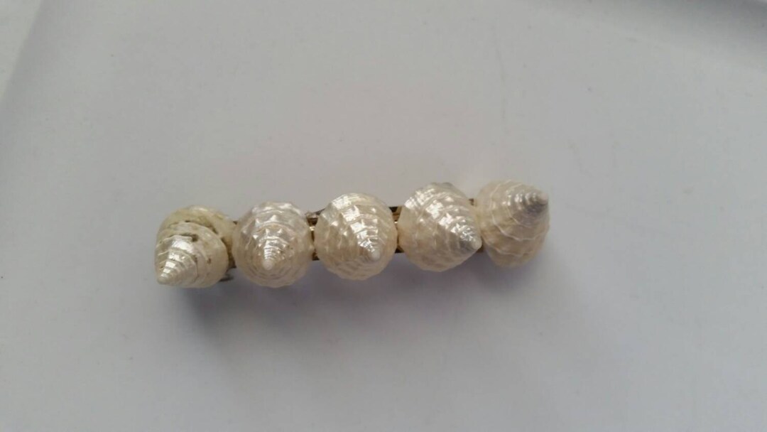 Seashell Hair Clip, Coastal Hair Clip, Nautical Hair Clip, Hair ...