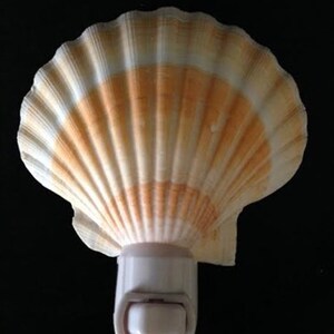 Night Lighti Nursery Light I Seashell Night Light I Night Light I Shell ...