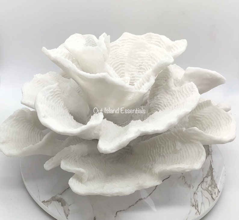Faux Cup Coral Display | Coral Decoration | Eco Friendly Coral ...