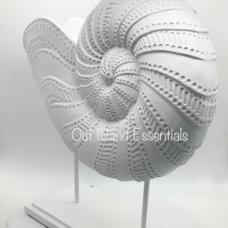 Nautilus Shell Art - Etsy