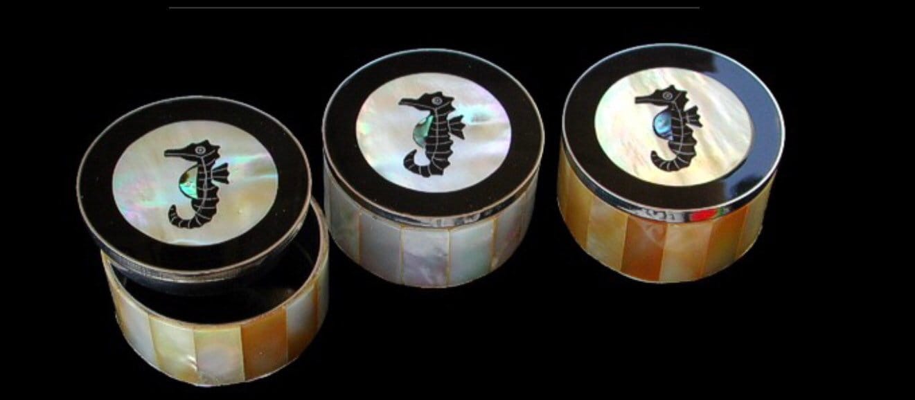 Seashell Pill Box I Seashell Pill Box I Seashell Ring Holder I | Etsy