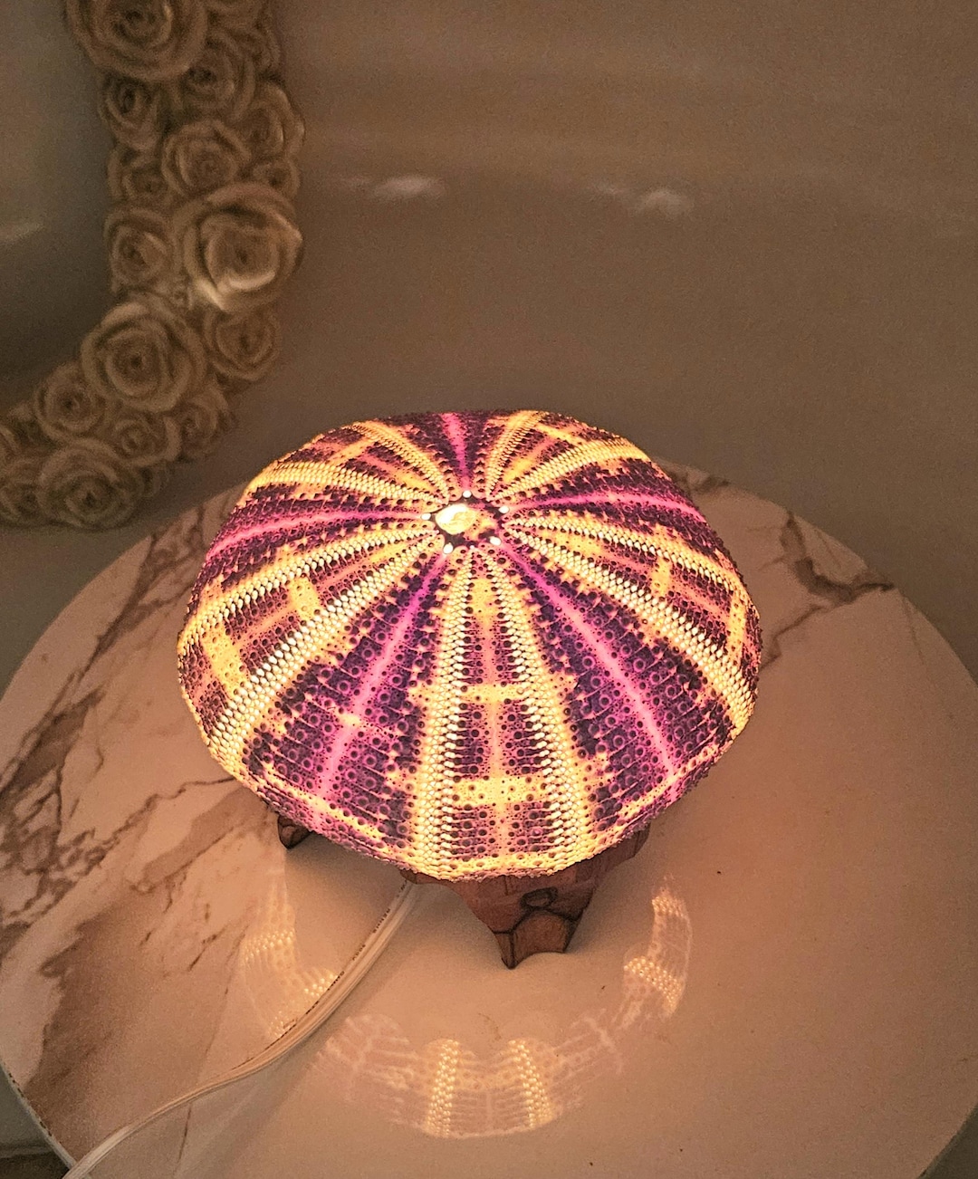 Sea Urchin Shell Light | Coastal Seashell Light | Conch Shell Light ...