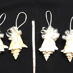 Mini Conch Shell Christmas Ornament I Seashell Christmas Ornament I ...