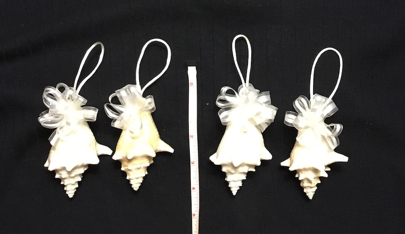 Mini Conch Shell Christmas Ornament I Seashell Christmas | Etsy