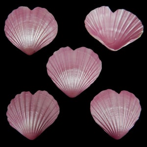 Heart Shape Scallop Shell I Semi-white Irish Baking Clam | Heart Shaped ...