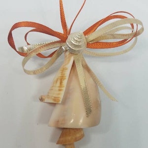 Spiral Cut Conch Shell Ornament, Spiral Cut Lambis Seashell, Seashell ...