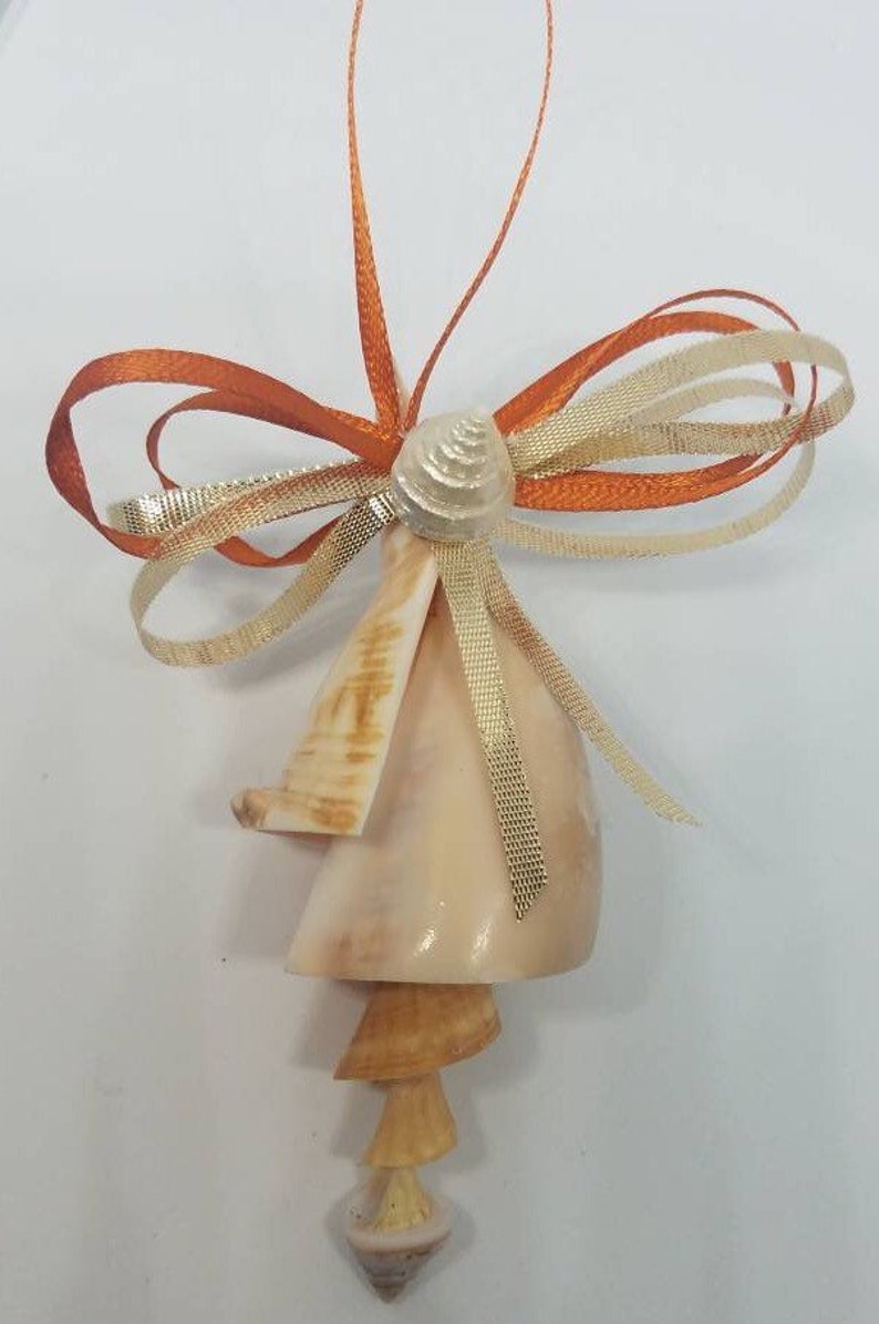 Spiral Cut Conch Shell Ornament Spiral Cut Lambis Seashell - Etsy