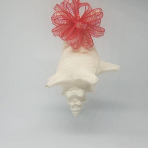 Mini Conch Shell Christmas Ornament I Seashell Christmas Ornament I ...