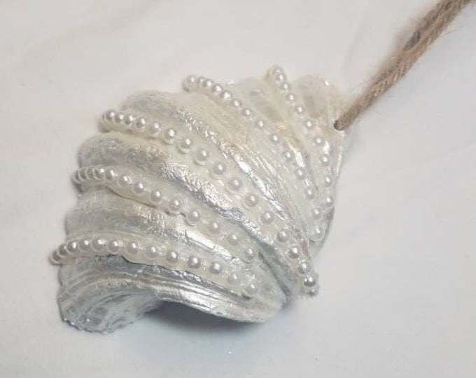 Bear Claw Shell Ornament Faux Seashell Ornament Bearclaw - Etsy