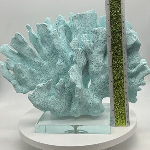 Faux Mounted Key West Blue Coral Display | Colorful Coral Decoration ...