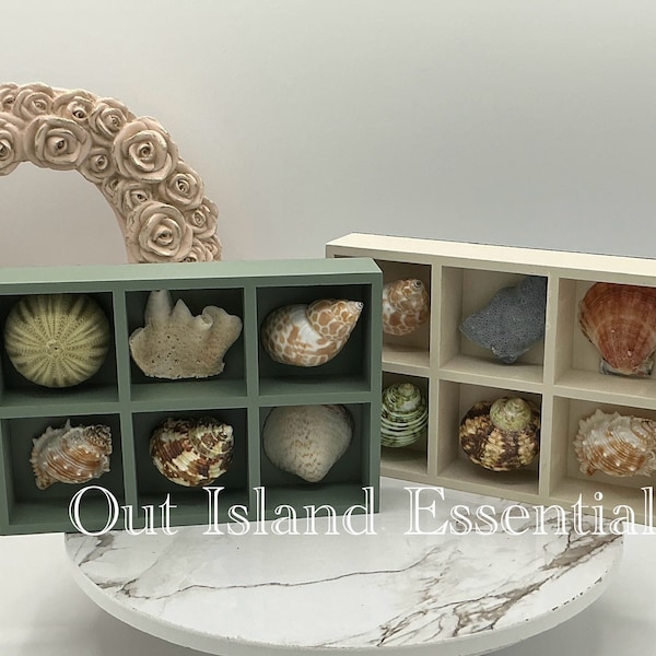 Seashell Collection - Etsy