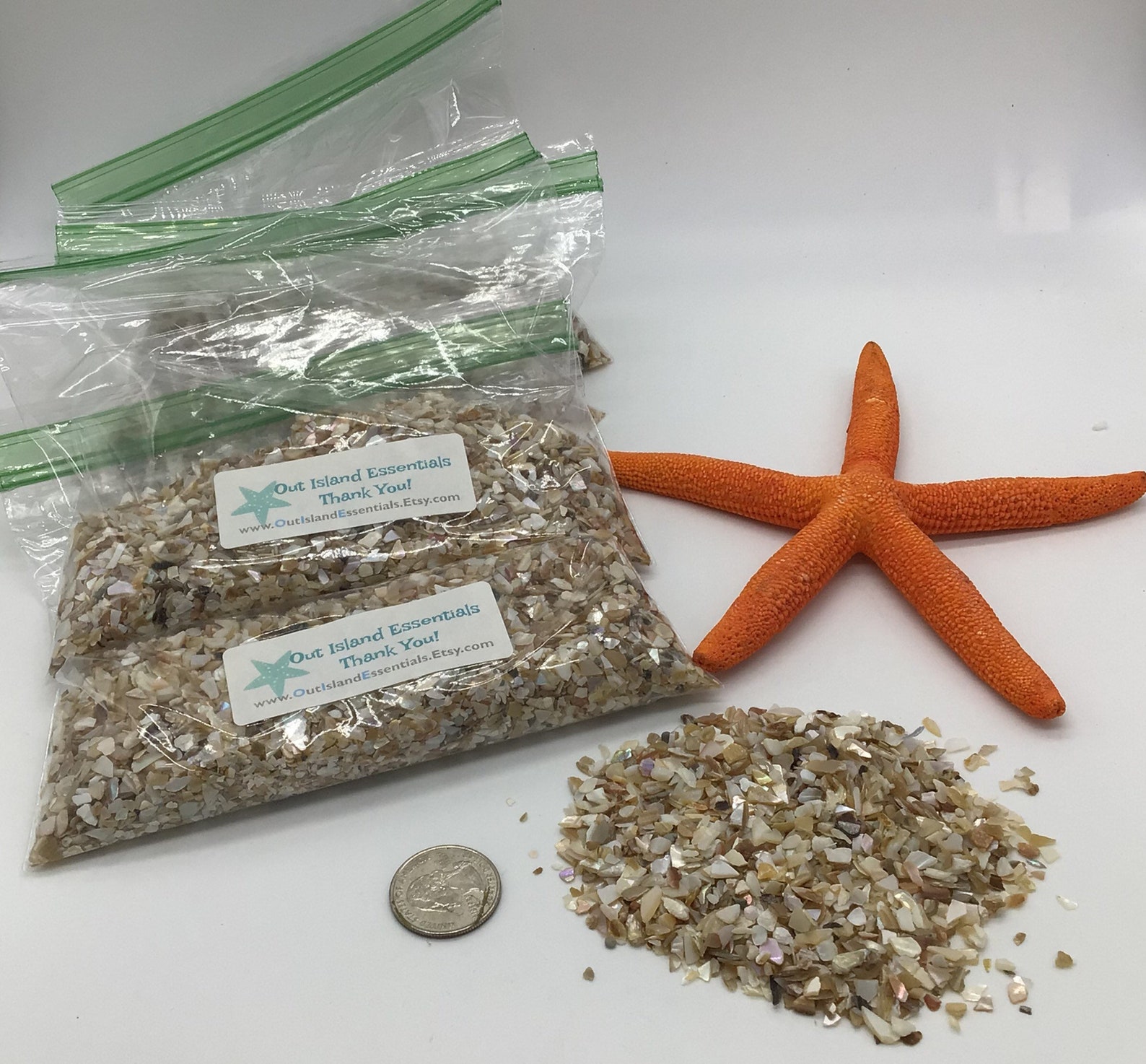 1 Cup Crushed Abalone Shells I Crushed Shells I Crushed Craft Shells ...