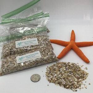 1 Cup Crushed Abalone Shells I Crushed Shells I Crushed Craft Shells ...