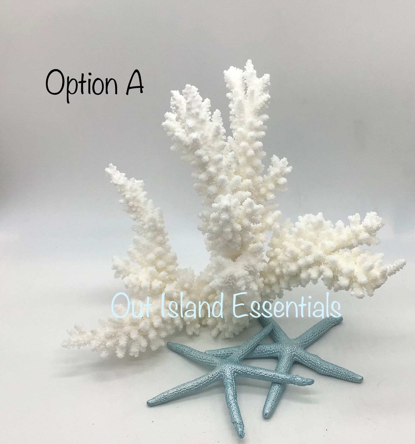 Stunning White Branch Coral I Branch Coral I Authentic Ocean Coral I ...