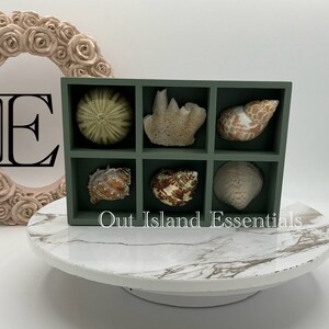 OOAK Collector's Seashells I Seashell Collection Case I Tabletop ...