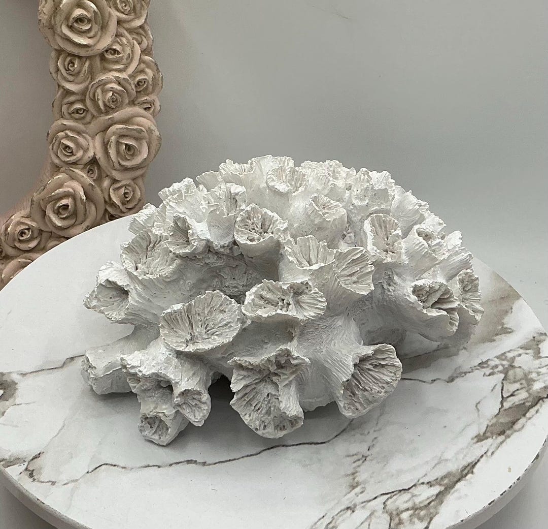 8" Faux White Tube Coral Display | Coral Decoration | Eco Friendly ...