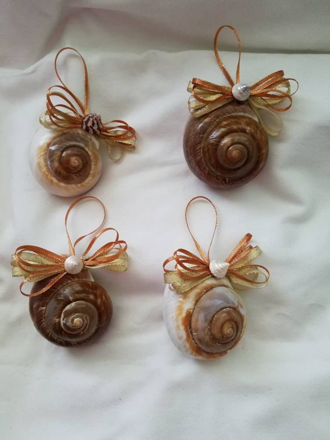 Mountain Snail Shell, Shell Ornaments, Christmas Ornament, Coastal ...