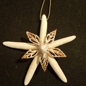 Starfish Ornament Unique Starfish Seashells and Starfish - Etsy